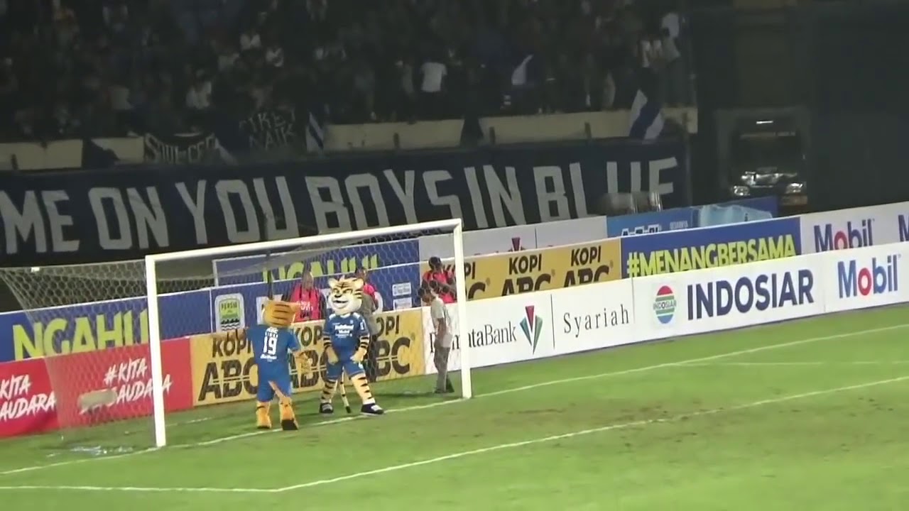 INILAH AKSI AKSI JAIL MASKOT PERSIB!!!SIMBA DAN PRABU - YouTube