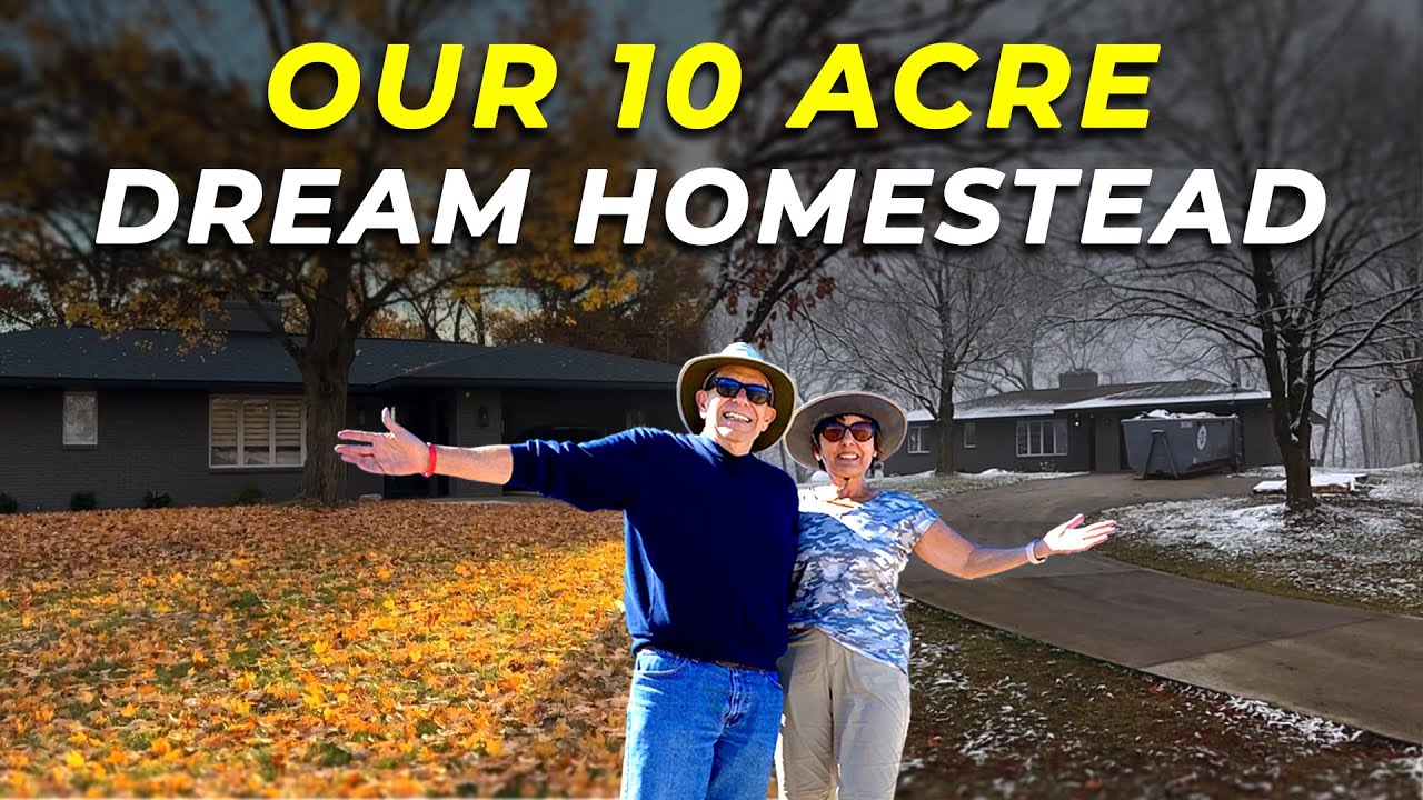 Building Our DREAM Homestead! - YouTube