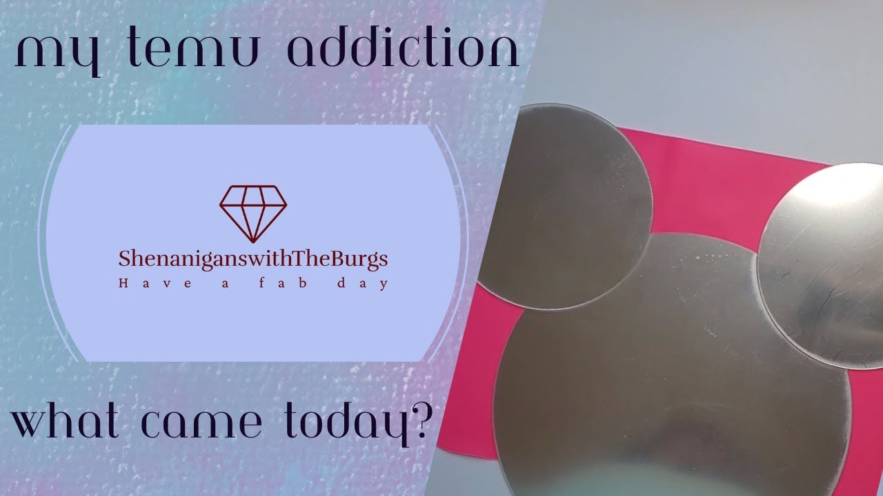 My TEMU addiction... may need a 12 step program... #TEMU #temufinds ...