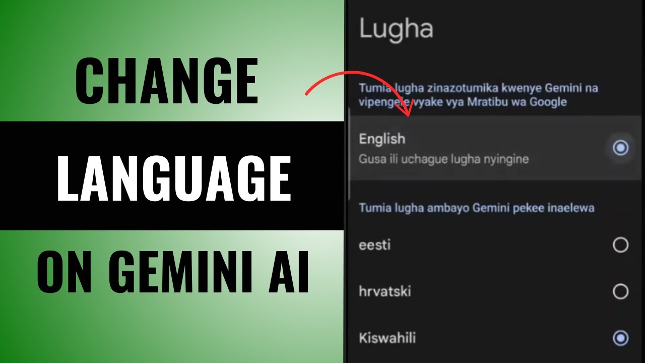 How to Change Language in Gemini AI - YouTube