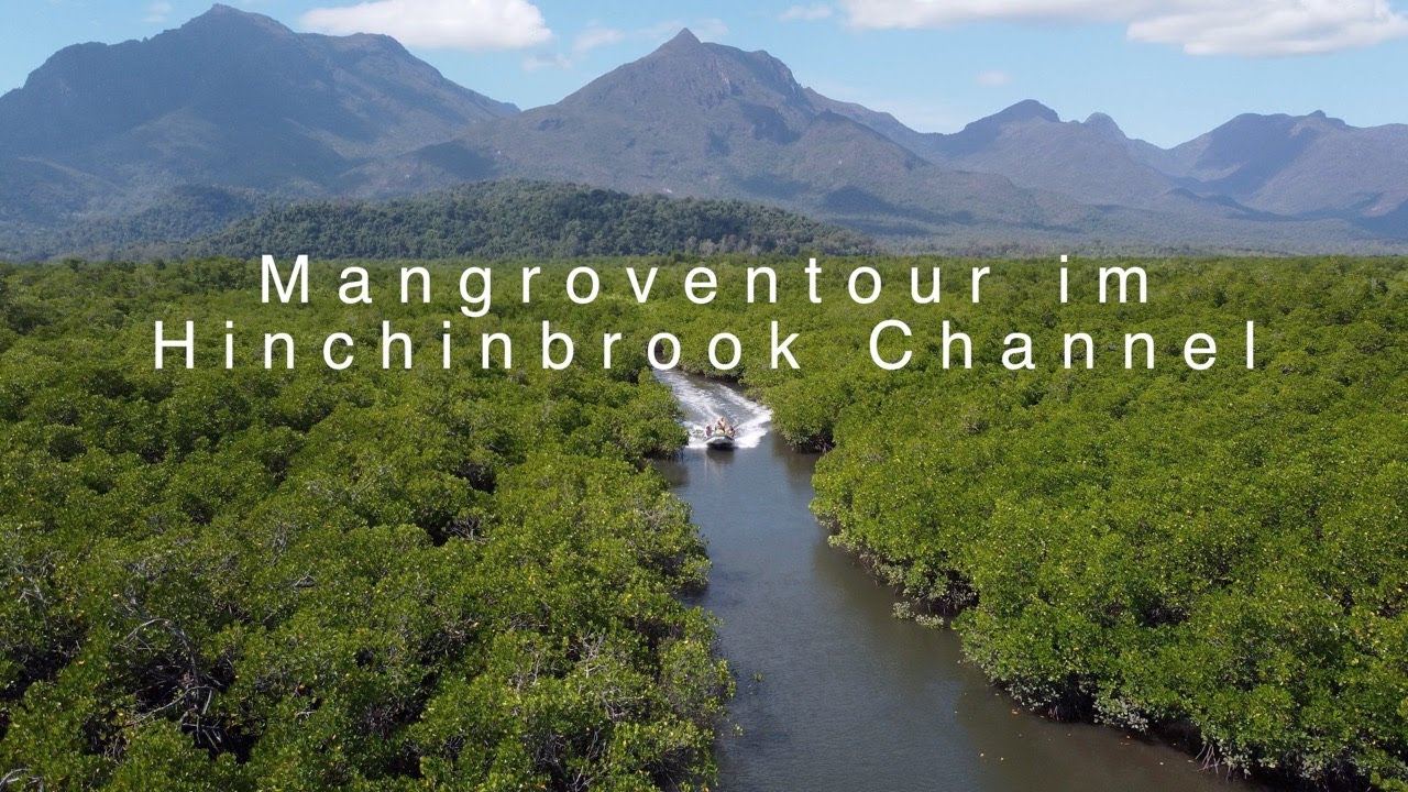 Mit dem Dinghy auf Mangroventour im Hinchinbrook Channel - YouTube