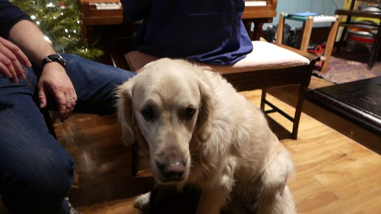 Oh Happy Day! Ben Millberry-Jones, Adrian Hackford & Marc Borms - YouTube