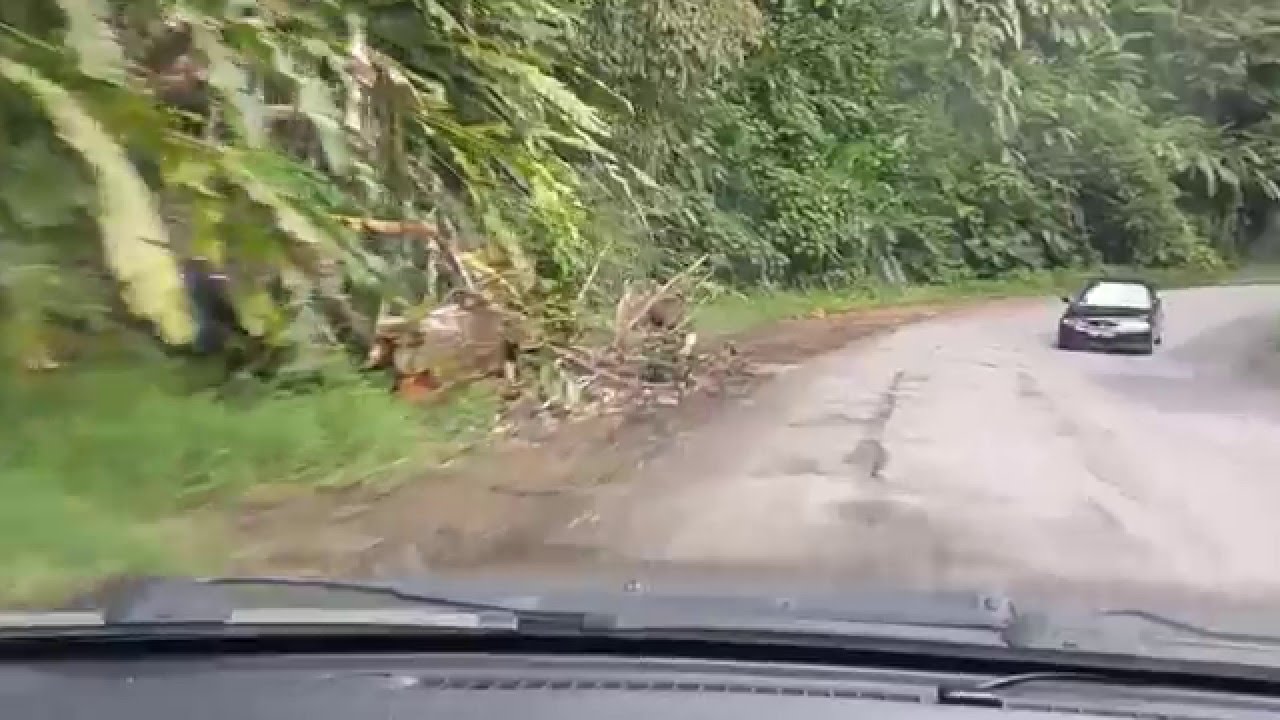 Maracas to Santa Cruz - YouTube