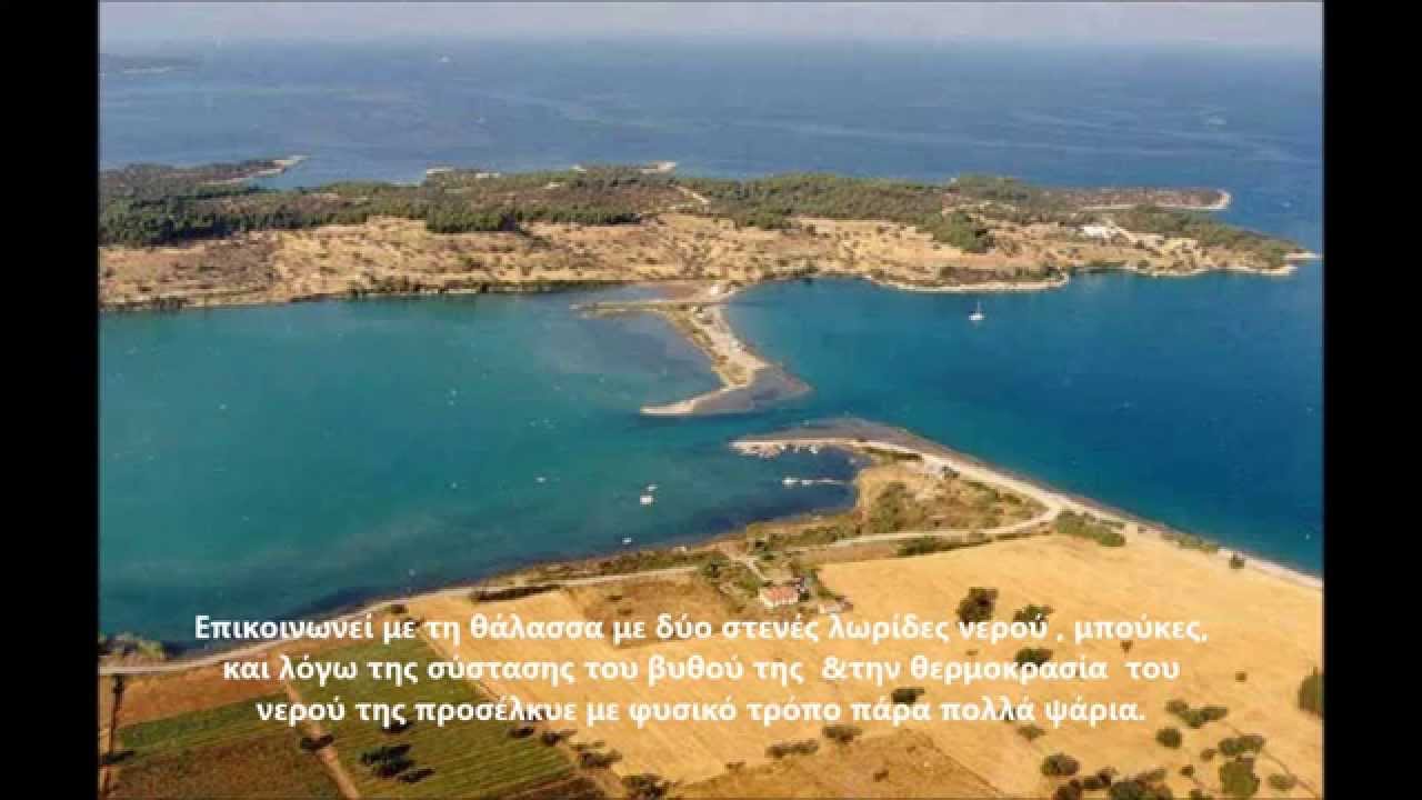 Η ΛΙΜΝΟΘΑΛΑΣΣΑ ΤΗΣ ΒΕΡΒΕΡΟΝΤΑΣ ΣΤΟ ΠΟΡΤΟΧΕΛΙ - YouTube