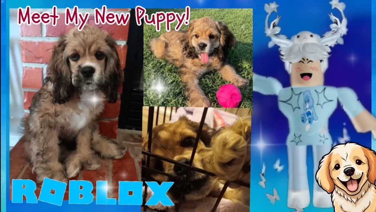 Meet My New Puppy. 🐶 ️ (Roblox) - YouTube