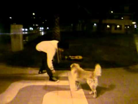 el pequeño danilo palomino - YouTube