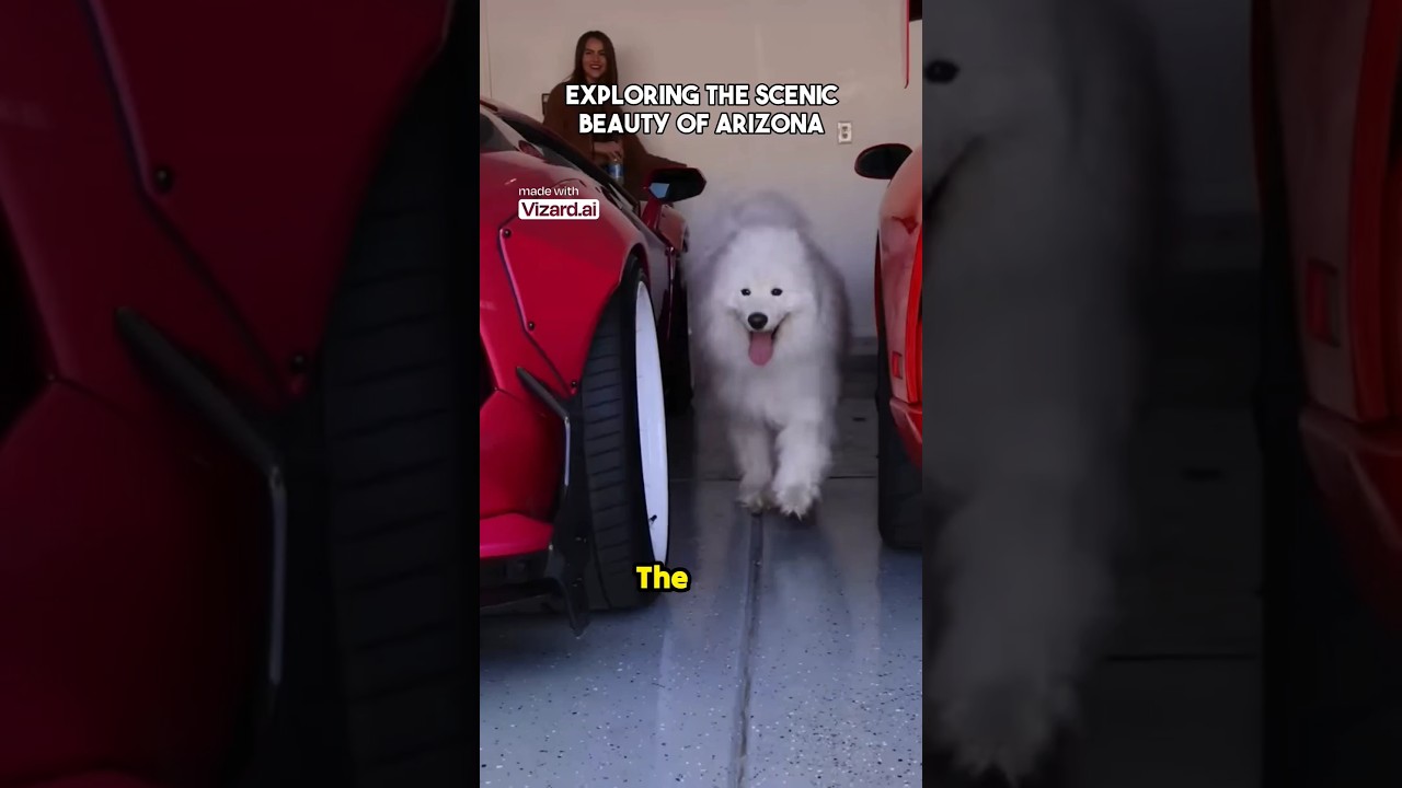 STRADMAN OSKAR IS BACK #shorts #supercars #viral - YouTube