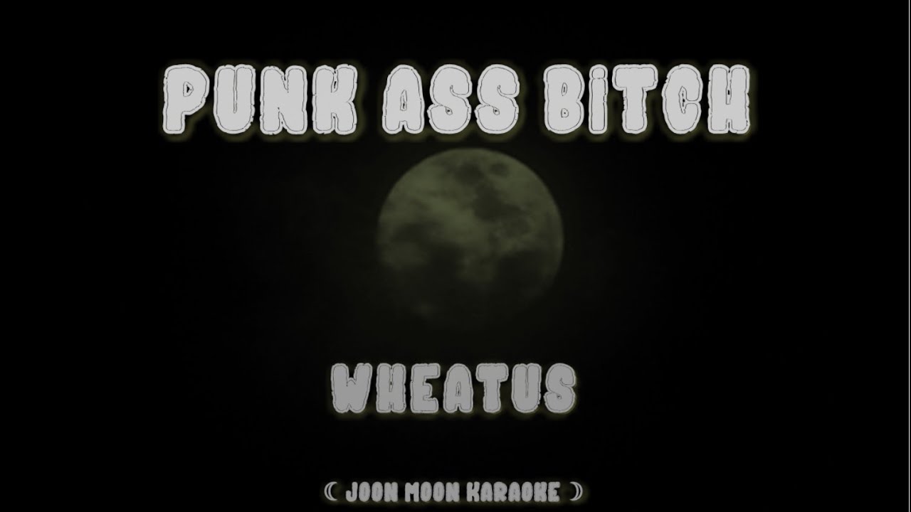 Punk Ass Bitch - Wheatus | Karaoke Instrumental • Solo Lyrics - YouTube
