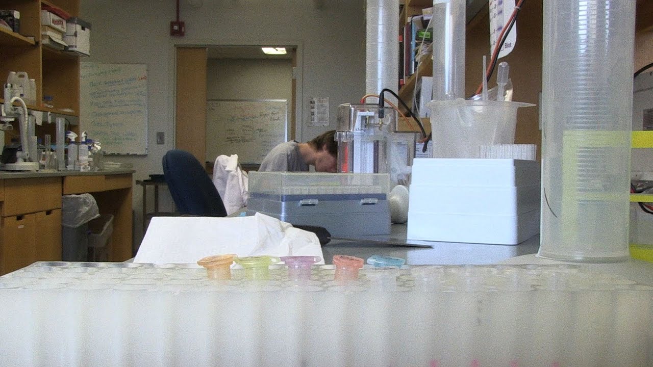 New psychedelic drug ‘N-bomb’ in Mass., DA warns - YouTube