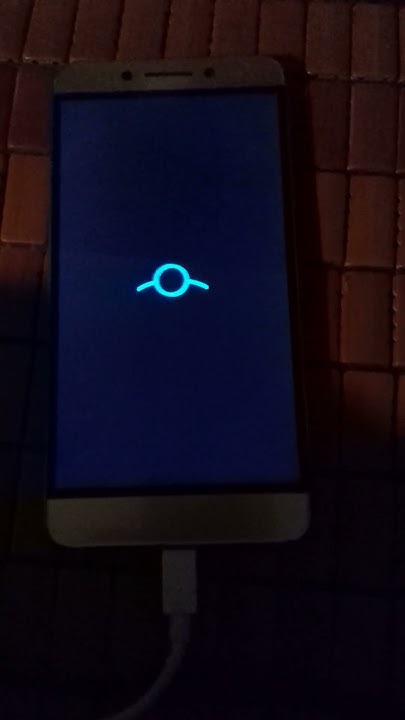 Linux penguin (tux) logo appear on Android phone when startup but ...