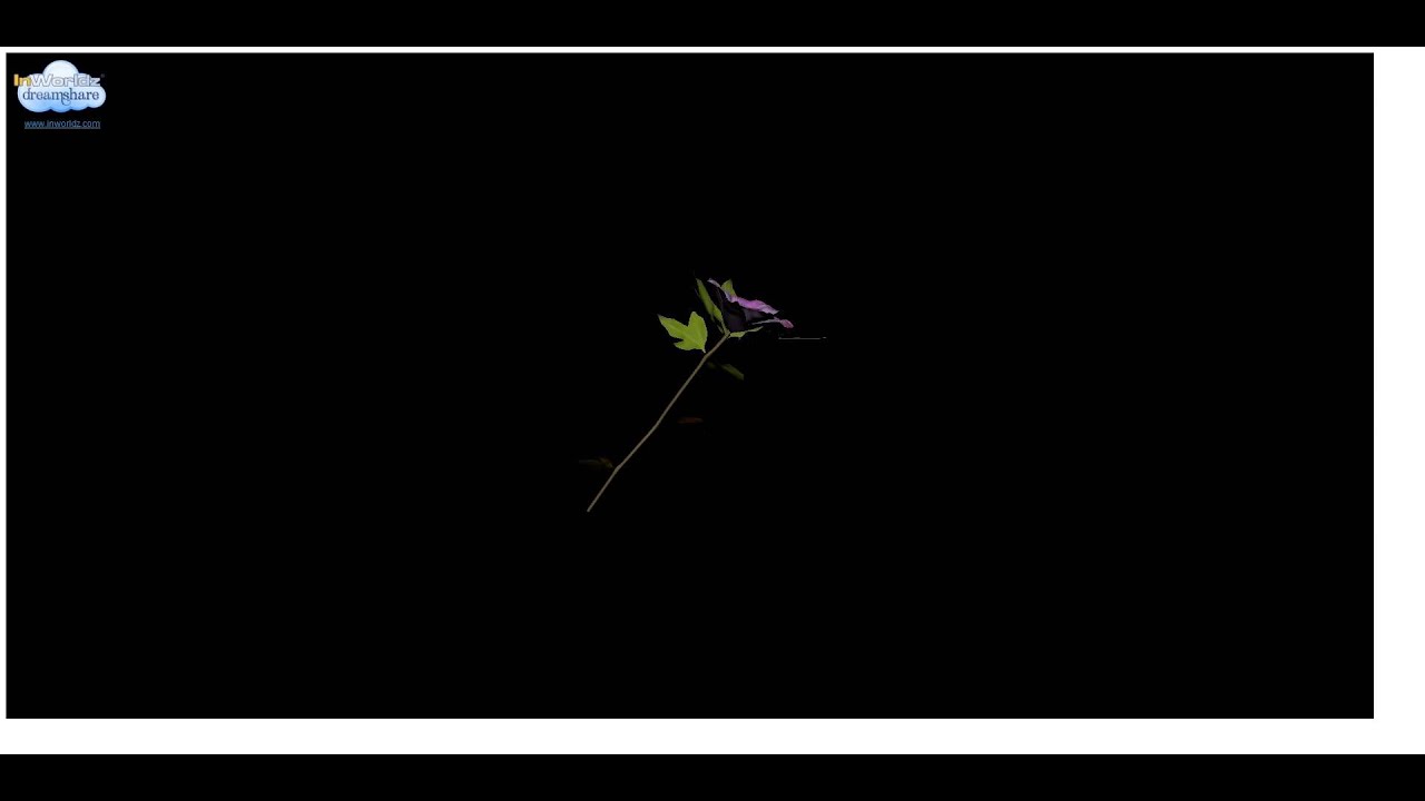 Introduction to InWorldz Dreamshare - YouTube