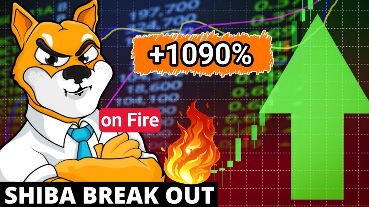 📣Shiba inu coin on fire🔥🔥 🚀Crypto News Today in Hindi ☑️Shiba inu coin ...