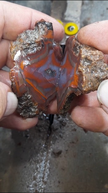 cut open a beautiful german agate #agates #minerals - YouTube