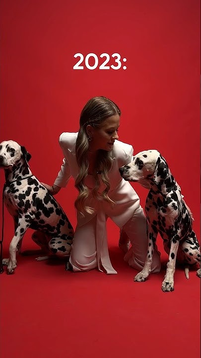 Влог с далматинцами уже на канале 🔥@katelina_official - YouTube