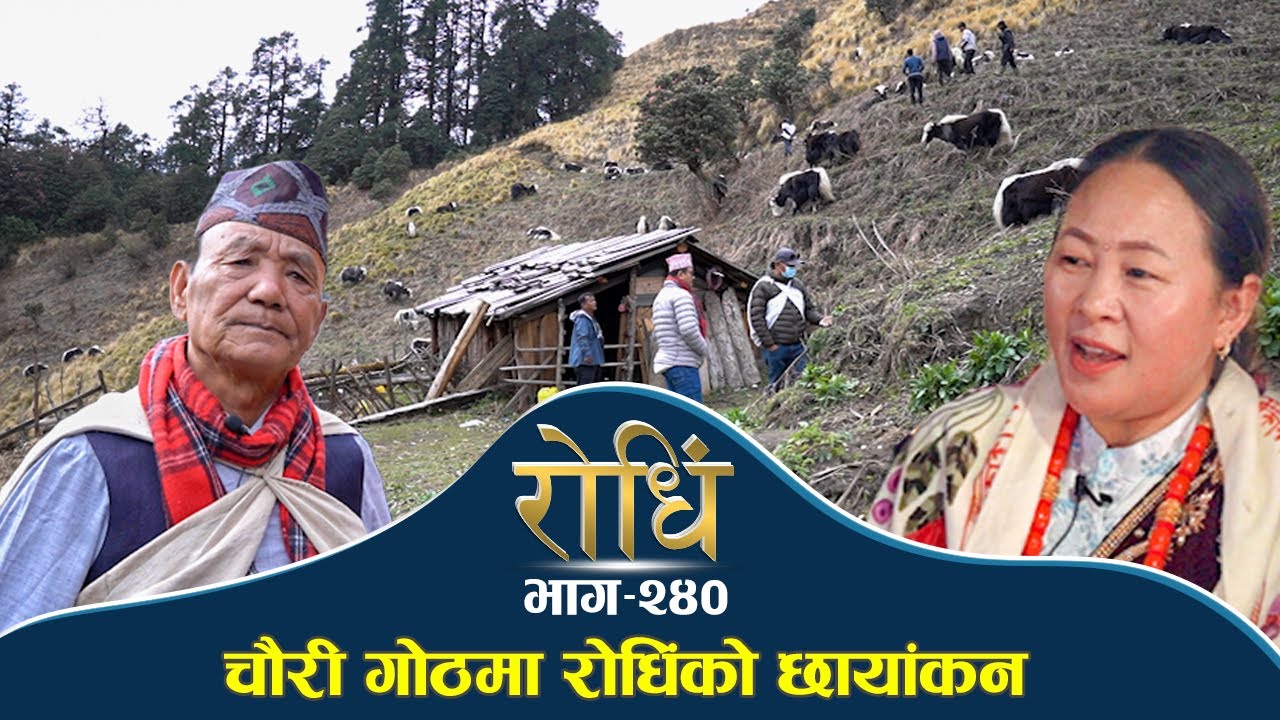 Rodhi EP 240 | बन विर गुरुङ को चौरी गोठमा रोधिंको छायांकन - YouTube