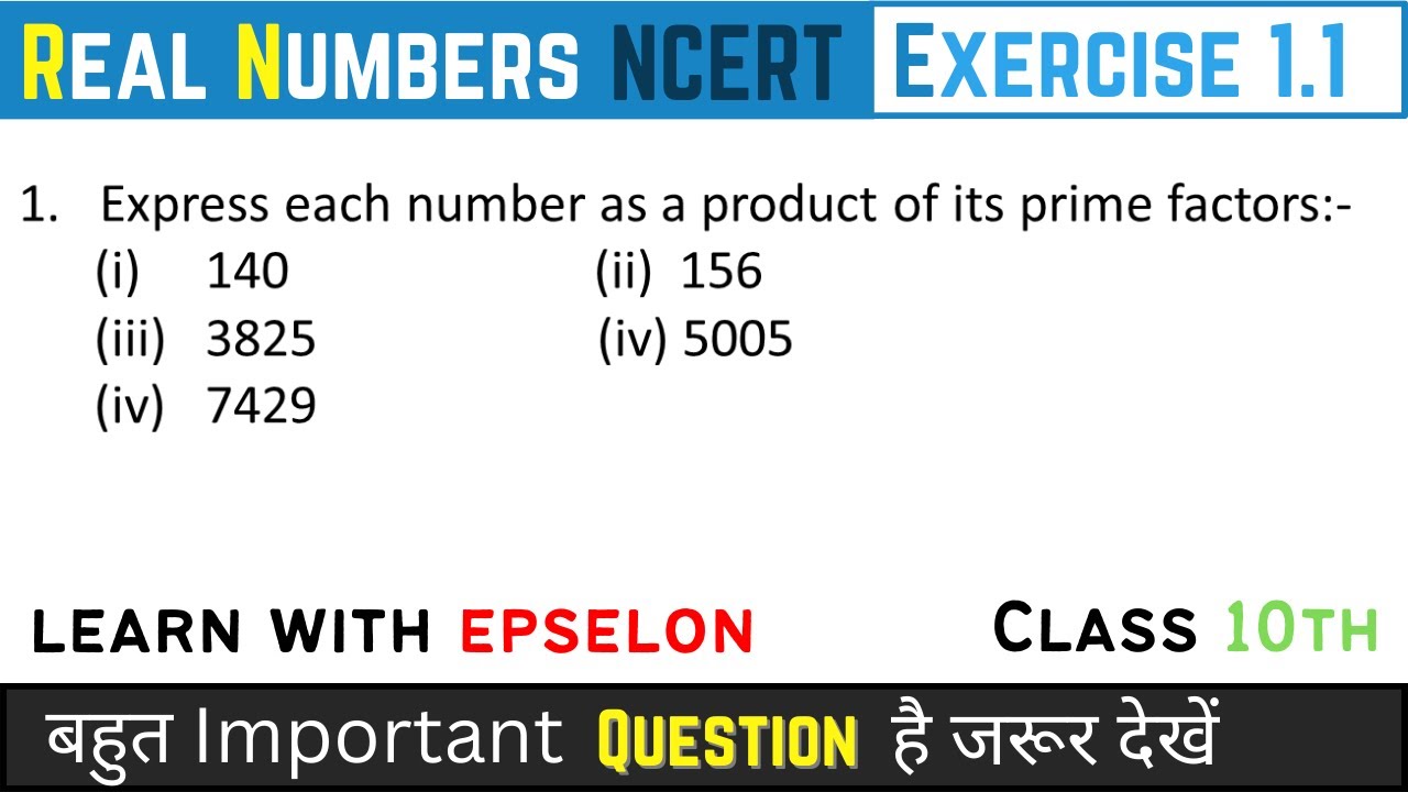 Question 1 Exercise 1.1 Real Numbers | class 10 | ncert | Important ...