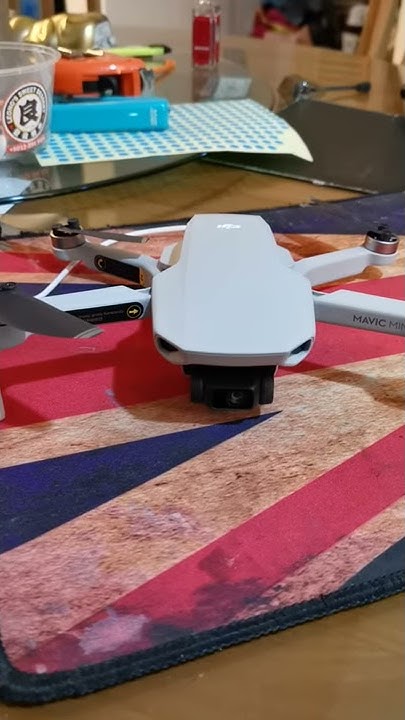 DJI Mavic Mini Gimbal Camera Software Calibration - YouTube