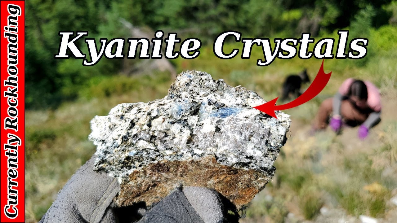 Freezeout Ridge Kyanite Crystals // Rockhounding North Idaho - YouTube