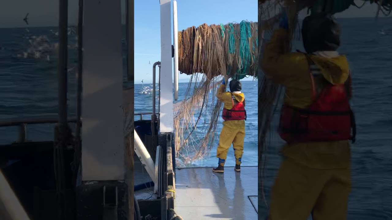 B Season Trawling for Pollock, Gulf of Alaska - YouTube