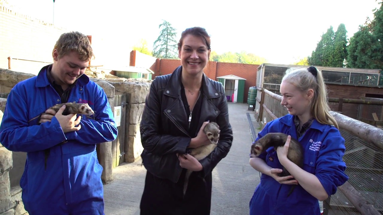 Gemma visits Animal Management - YouTube