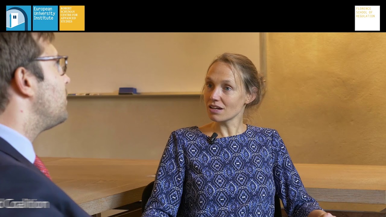 Demand response in the European electricity markets │Frauke Thies ...