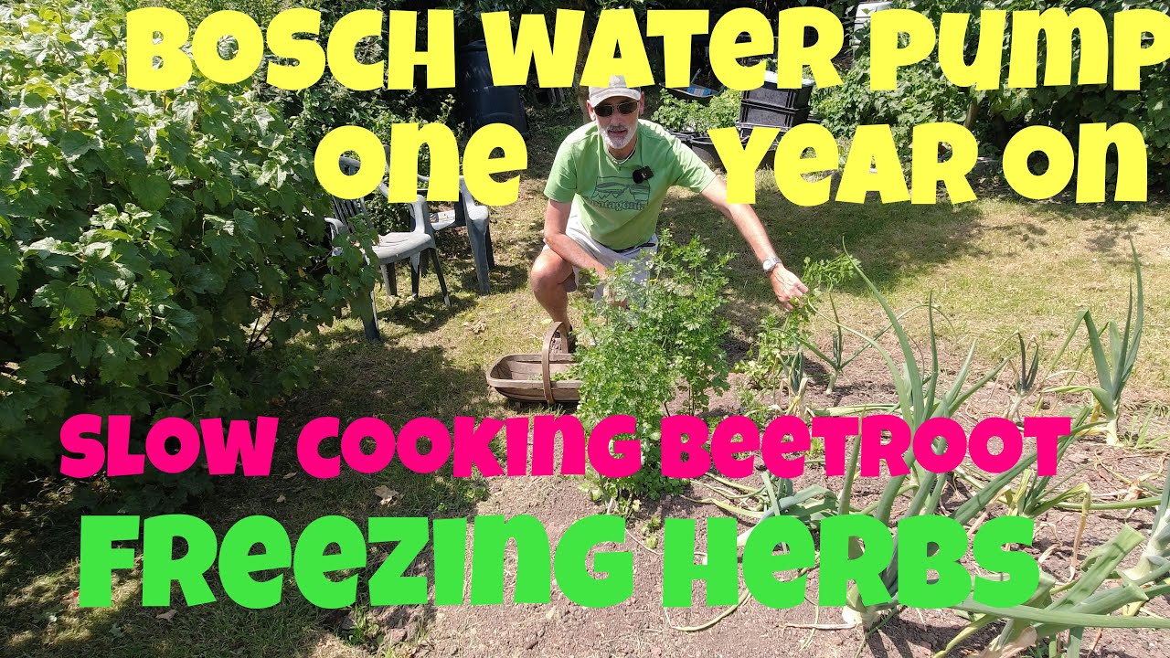 Freezing Herbs and slow cooking Beetroot | Bosch Water Pump 1 year on ...