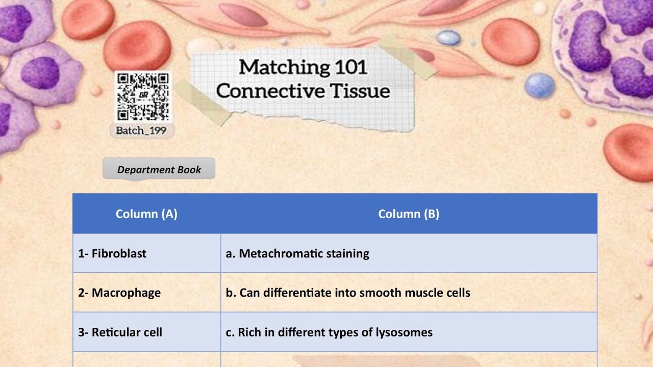 Connective tissue Matching (Histology 101) - قصر العيني 199 [ Dr ...