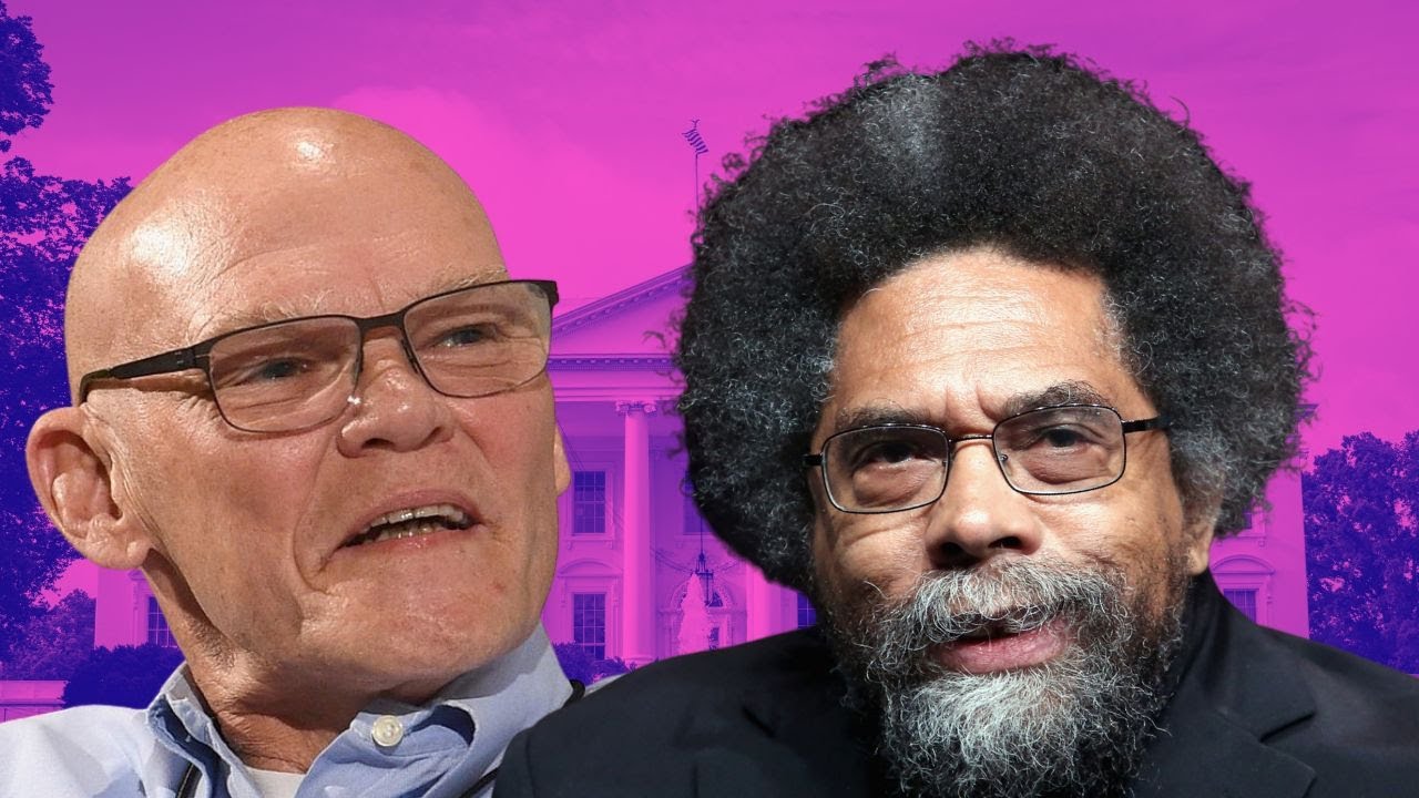 DNC Attack Dogs James Carville & Laurence Tribe SMEAR Cornel West on ...