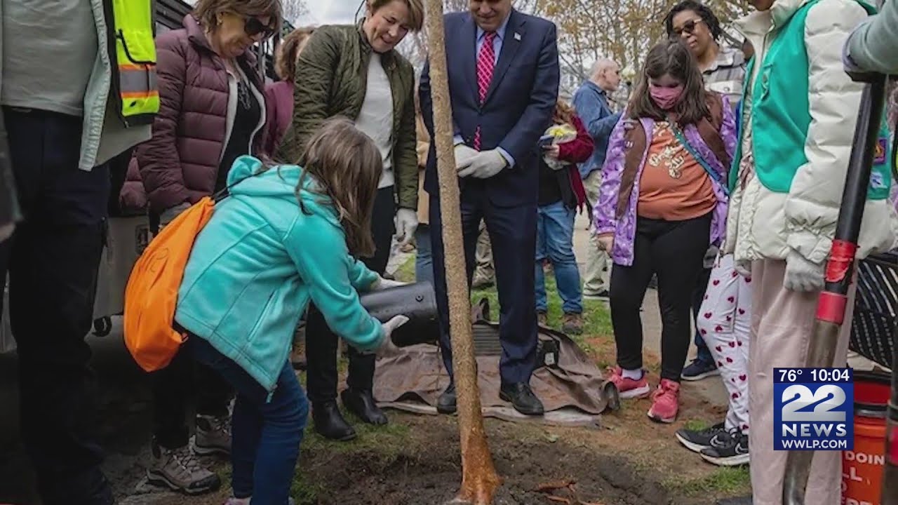 Tree planting grants awarded to Holyoke, Springfield & Westfield - YouTube