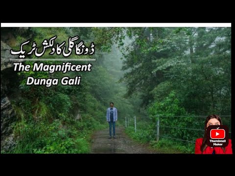 Nathiya Gali Tour | Dunga Gali Pipeline Track | Travel Pakistanm - YouTube
