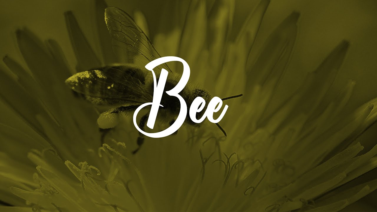 *FREE* $uicideBoy$ Type Beat - "Bee" | Free Instrumental - YouTube