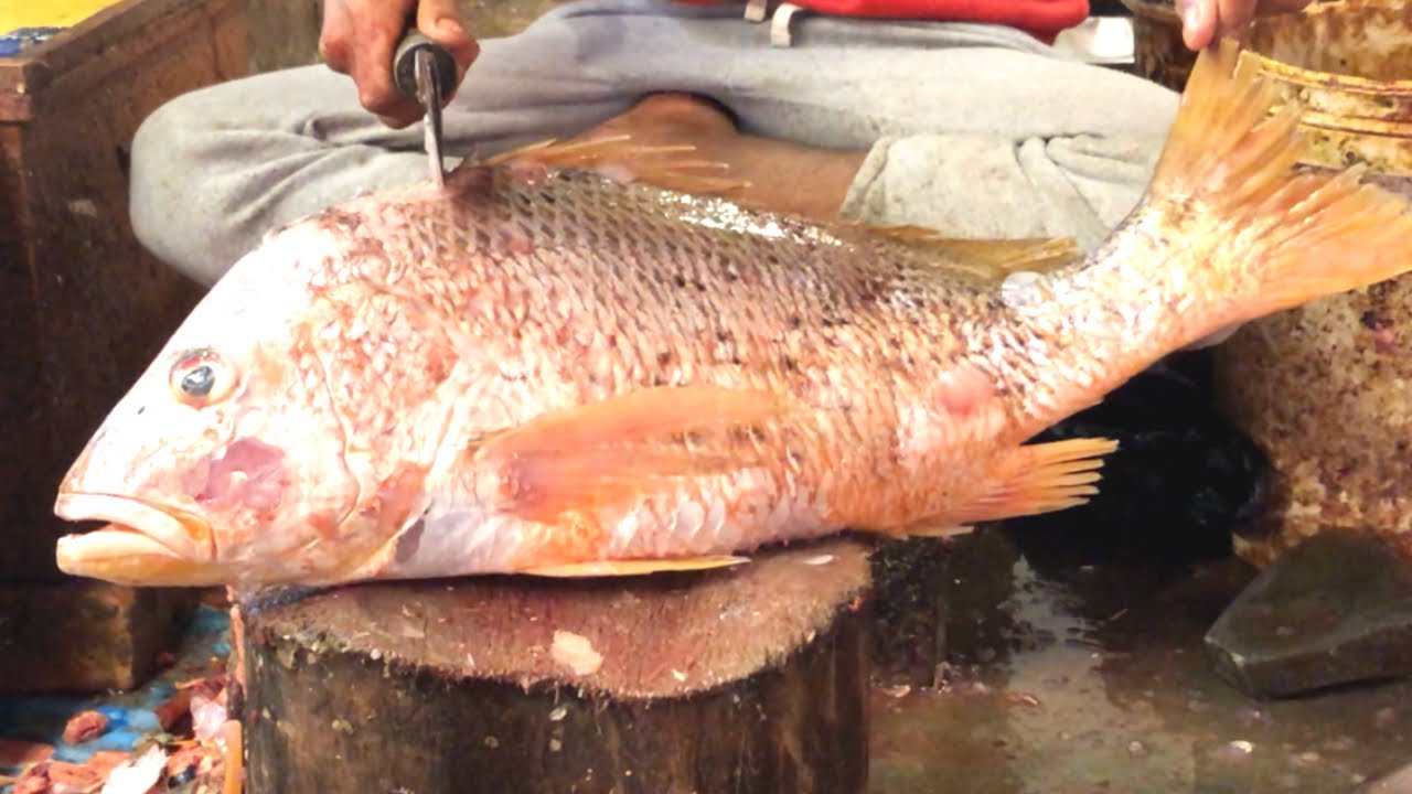 Red snapper fish cutting Video !! Nice Skill By Fish Cutter In The Fish ...