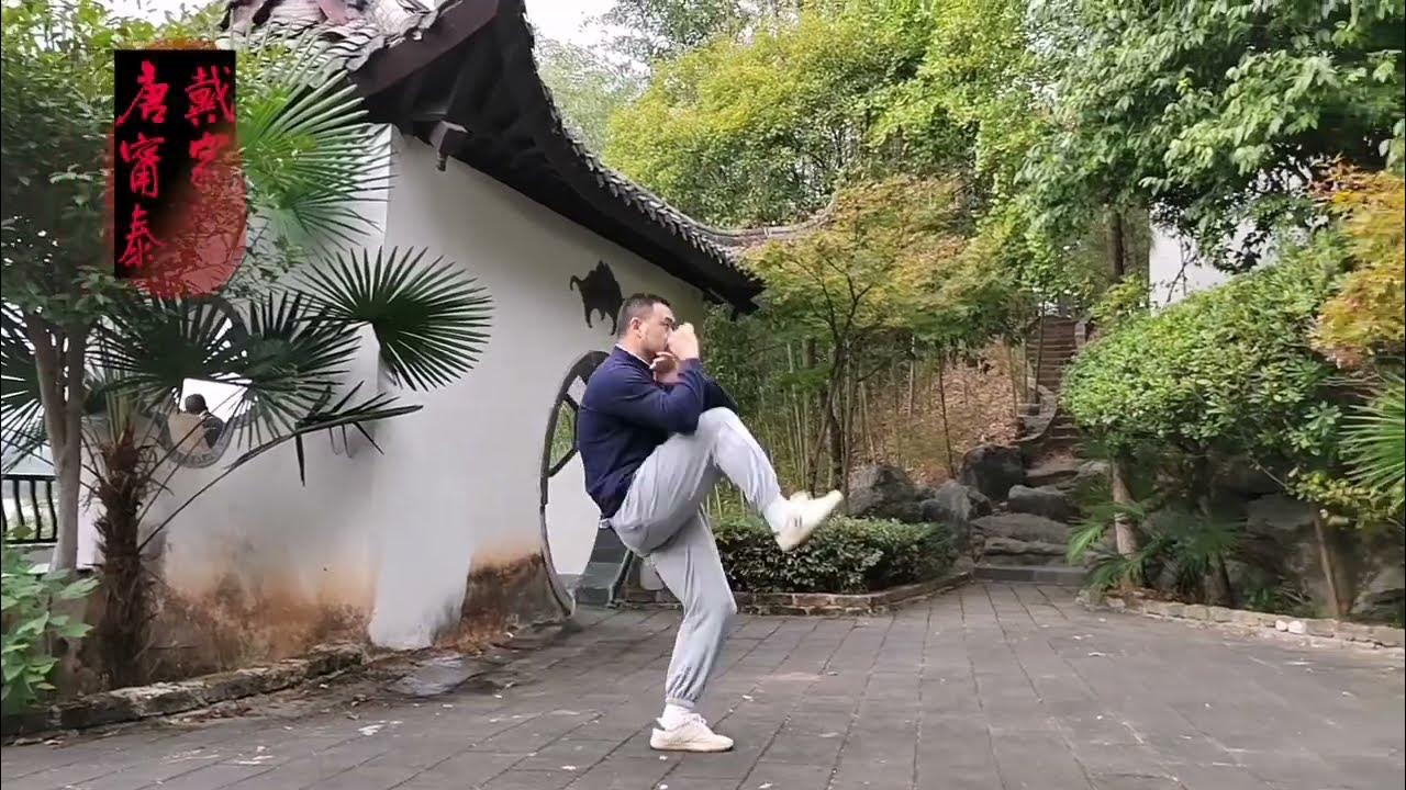Daily Practice - Dai Family Xinyi Quan (戴家心意拳）#Kungfu #martialarts #功夫 #wushu#心意拳唐宁泰 - YouTube