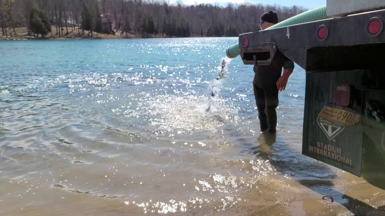 2020 | Carpenters Brook Fish Hatchery stocking Green Lake, NY - YouTube
