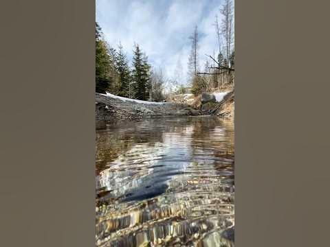 Тала вода - YouTube