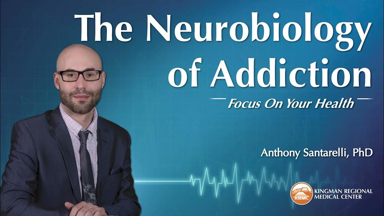 The Neurobiology of Addiction - YouTube