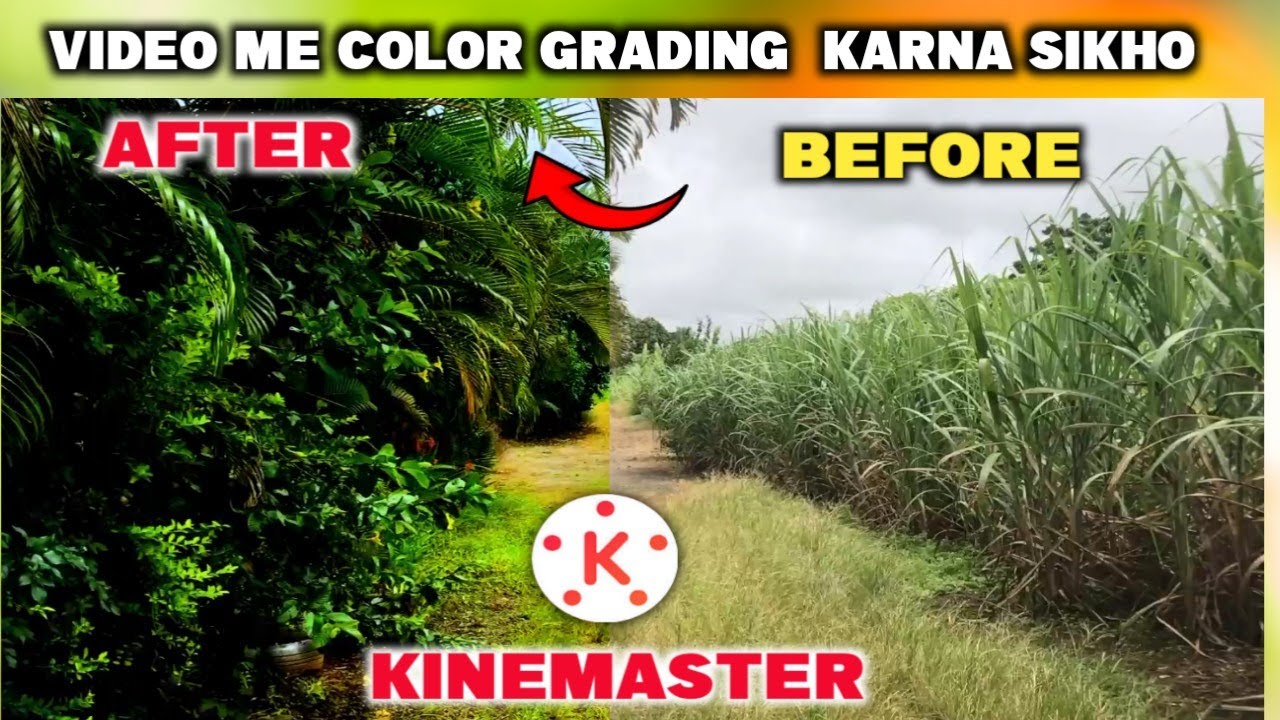 Colour Grading without Filter || Kinemaster Colour Grading Video ...