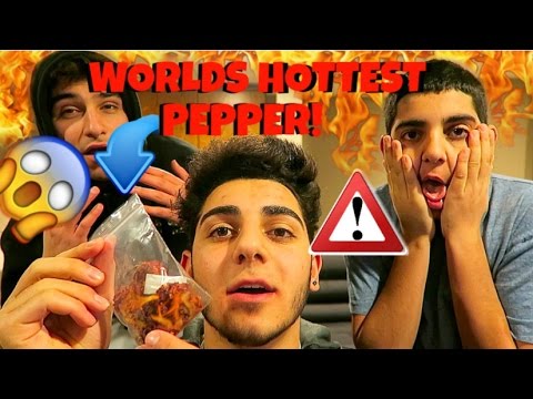 *WARNING* WORLD'S HOTTEST PEPPER CHALLENGE - CAROLINA PEPPER - YouTube