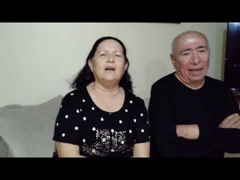 Gülser Salman / Sarı Çiçek Sarartıyor Dağları