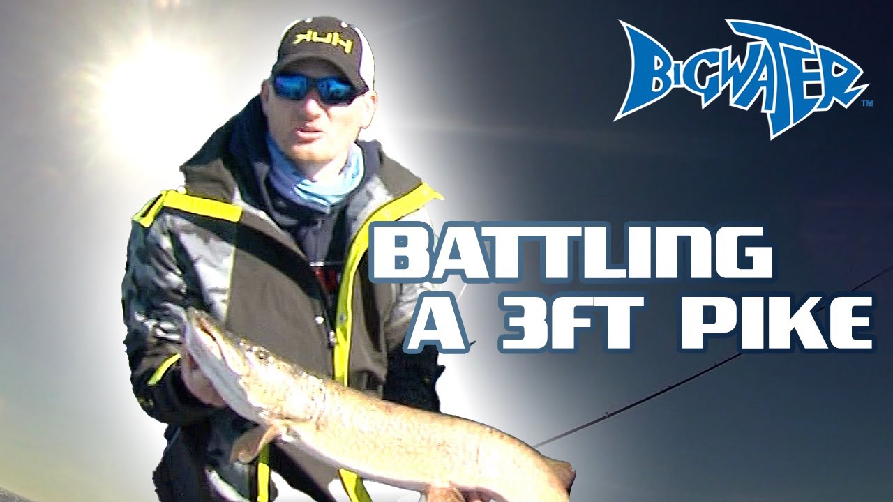 Fishing for a 3+ foot Pike on Lake St Clair - YouTube