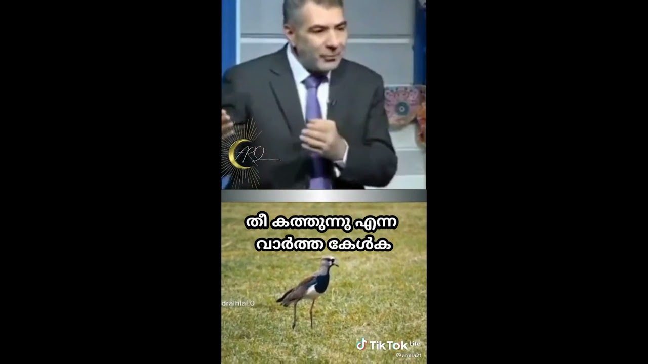 Fire spitting bird തീ തുപ്പുന്ന പക്ഷി Amazing view - YouTube