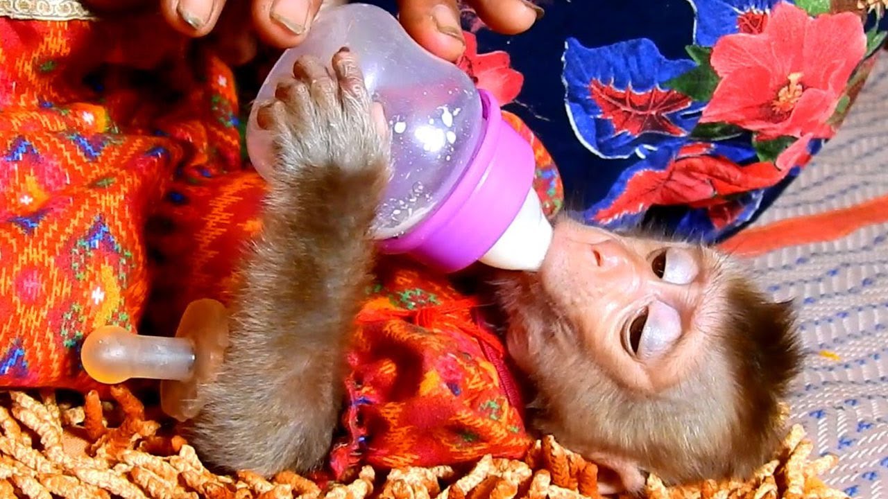 Elly take milk and her eyes keeping watching to bottle finish yet - YouTube