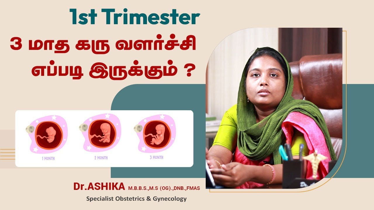 கர்ப்பமான முதல் மூன்று மாதம் எப்படி இருக்கும்?| First Trimester ...