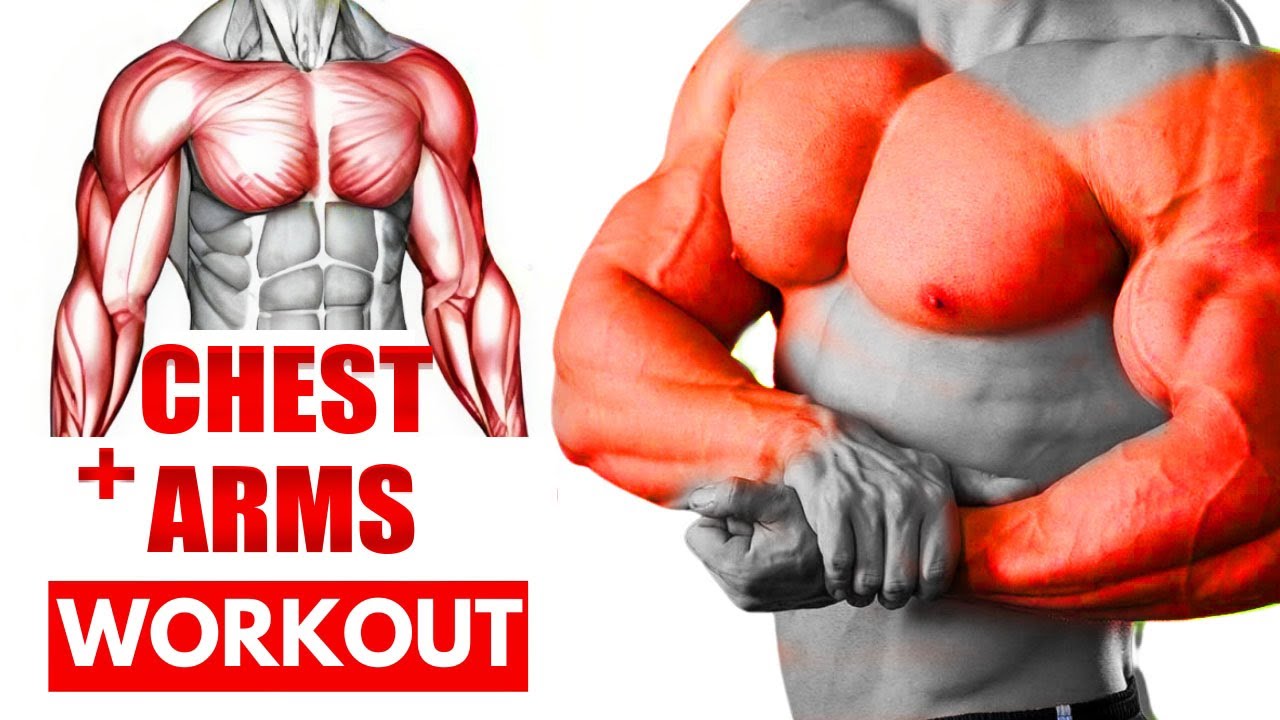 "Arm and Chest Endurance: Forge a Strong Chest and Chiseled Triceps 🏋️ ...