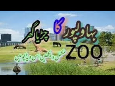 Bahawalpur Zoo l Vlog l Sher Bagh (Lion Garden) - YouTube