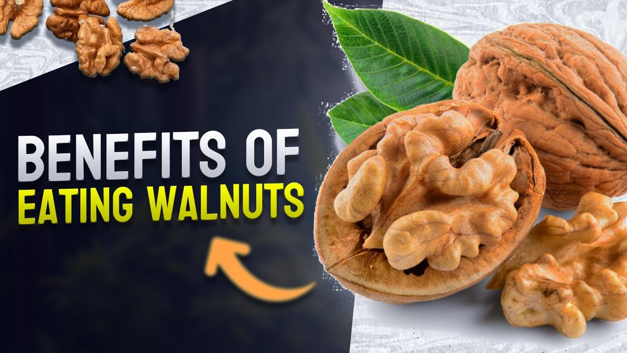 Benefits of eating walnuts 🌰 - YouTube