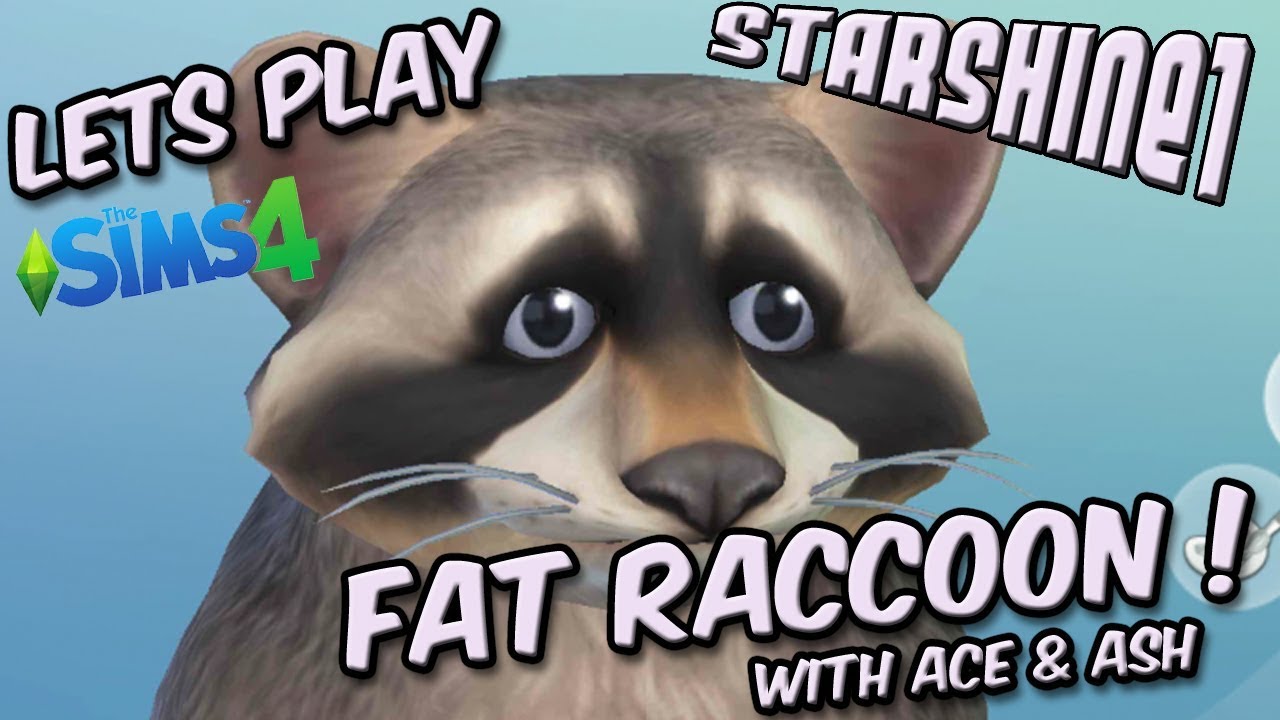 Let's Play Sims 4: Fat Raccoon ! - YouTube