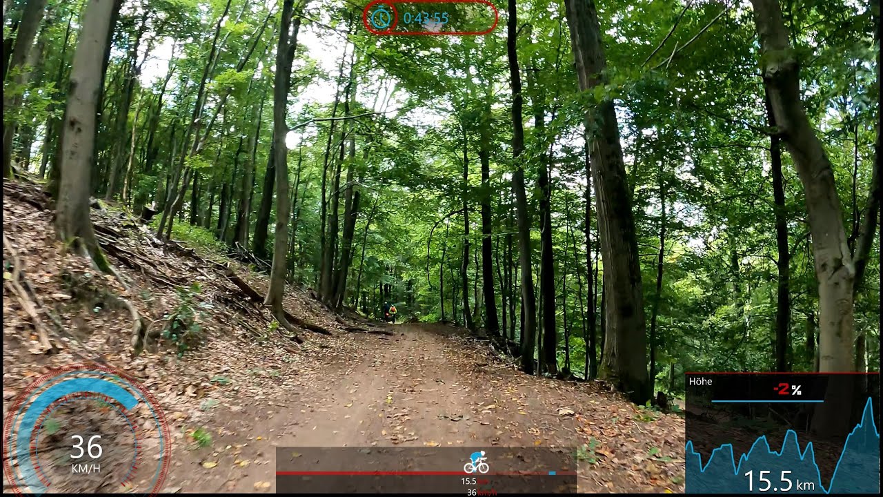 45 Minutes MTB Trail Workout 🚵‍♀️ Garmin Speed Display Ultra HD - YouTube