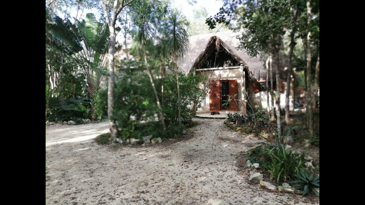 Off-Grid Jungle Homestead Tour in Tulum, Mexico - YouTube