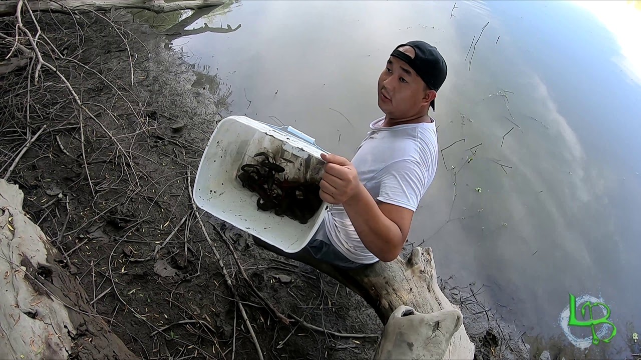 Crawdad Fishing (Old Man's Style) - YouTube